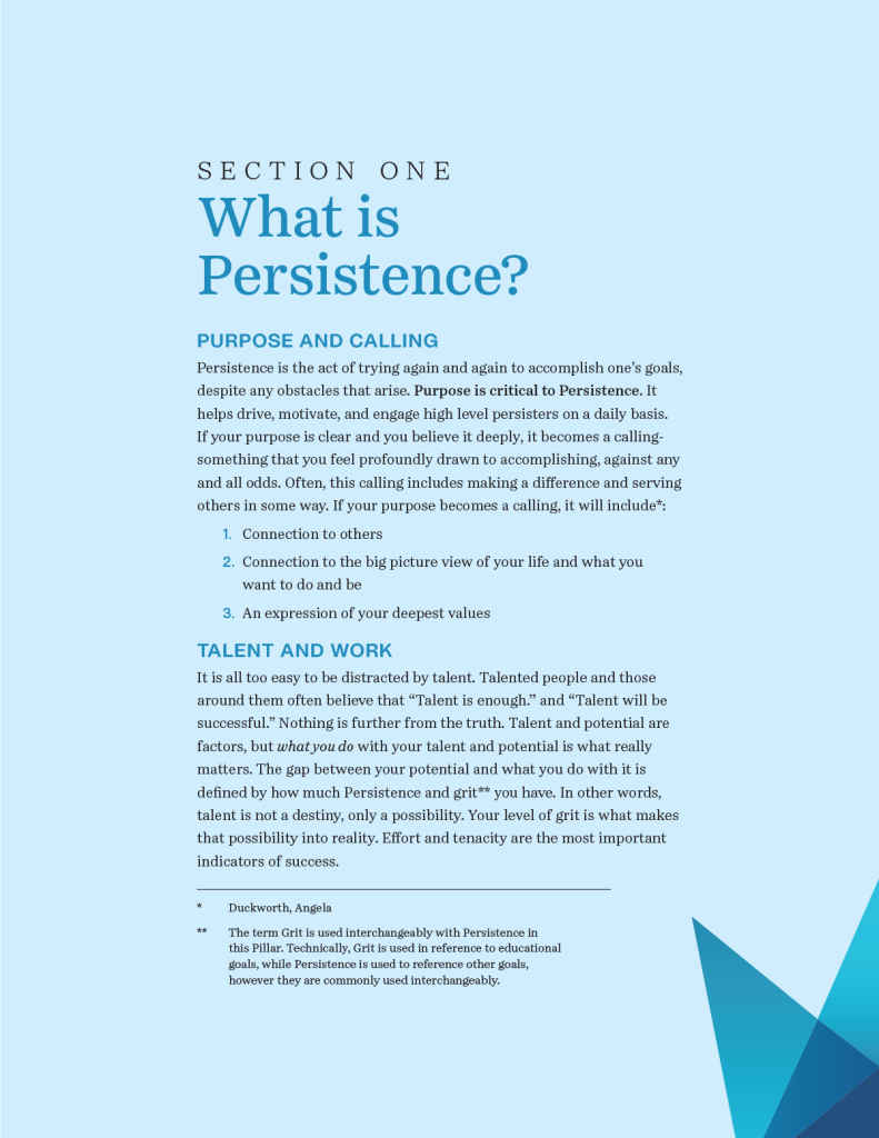 What is Persistence? – Solomon Leadership Program